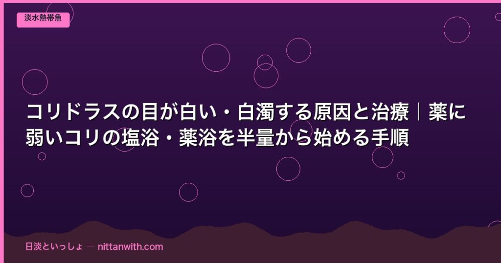 コリドラスの目が白い・白濁する原因と治療｜薬に弱いコリの塩浴・薬浴を半量から始める手順｜日淡といっしょ